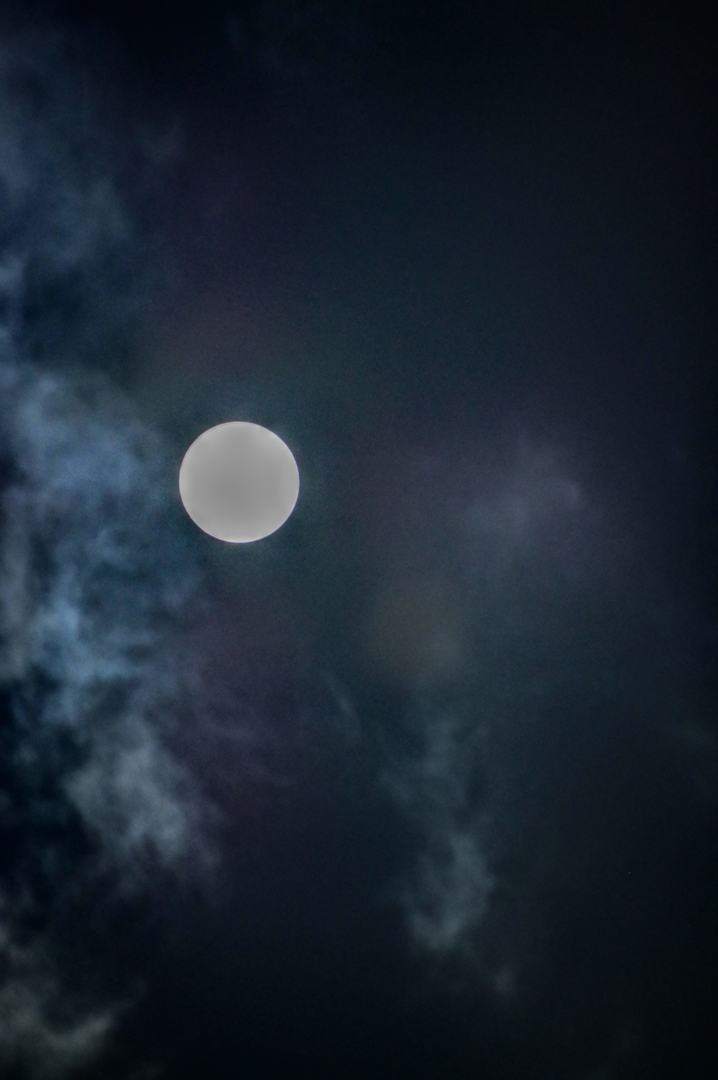 Image: 20240408 110553